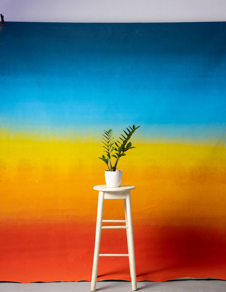 Sunset Painted Canvas Backdrop (RN#201) - Zen Backdrops