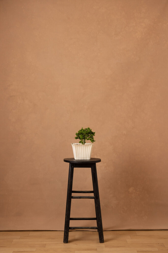 Brown Rust Painted Canvas Backdrop (RN#251) - Zen Backdrops