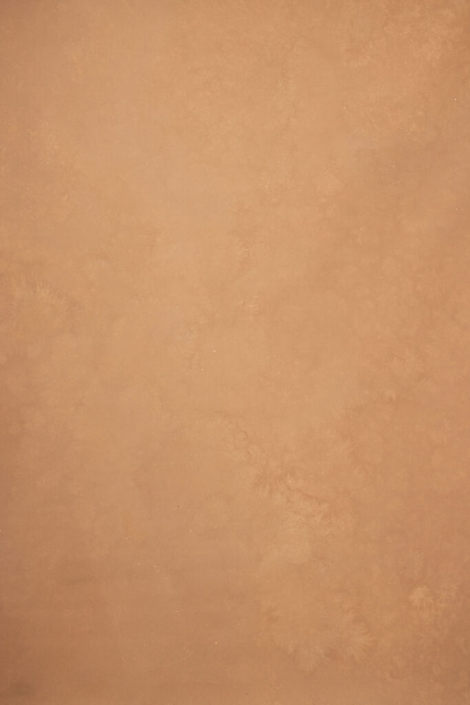 Brown Rust Painted Canvas Backdrop (RN#251) - Zen Backdrops
