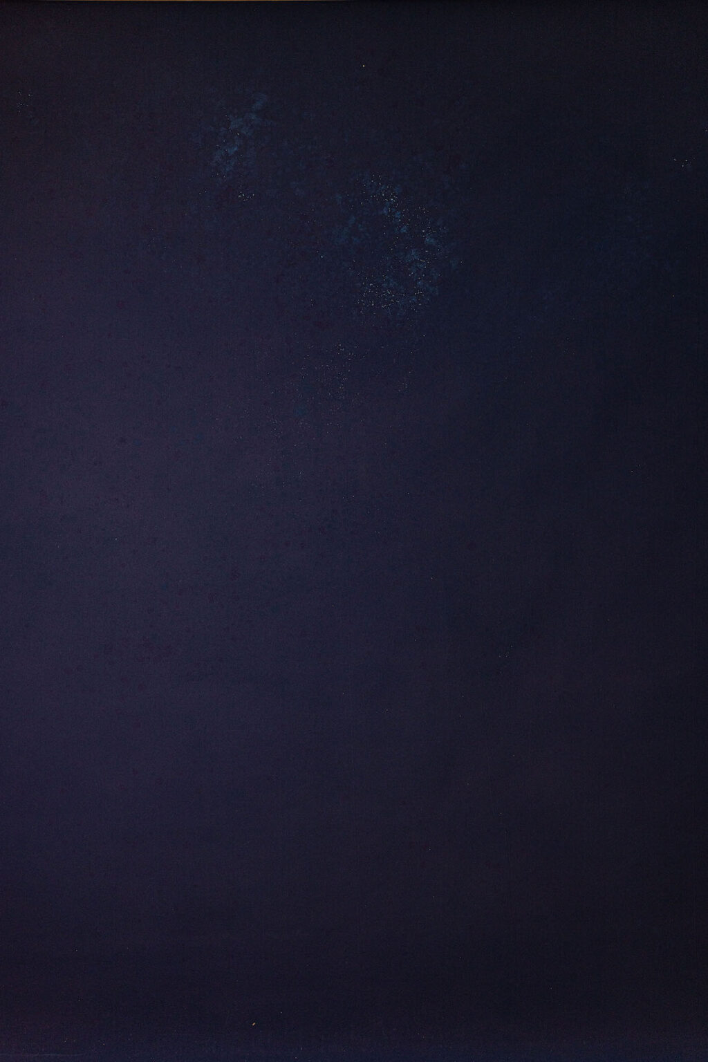 Blue Bundle Digital Backdrop (BDB#10001) - Zen Backdrops