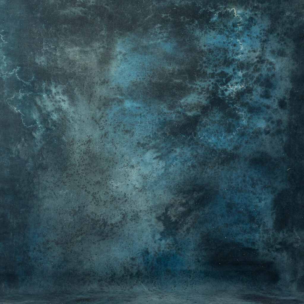 Blue Bundle Digital Backdrop (BDB#10001) - Zen Backdrops