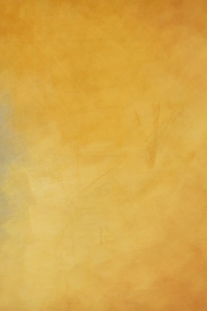 Desert Digital Backdrop (DB#10124) - Zen Backdrops