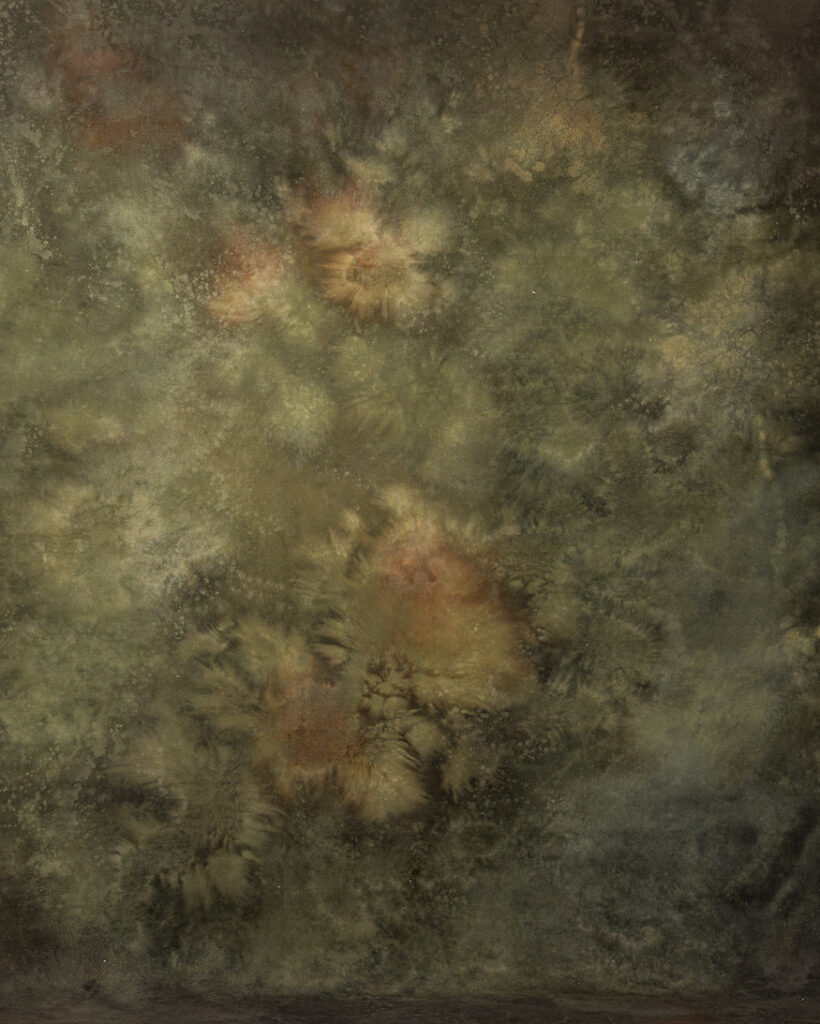 Forest Brown Digital Backdrop (DB#10142) - Zen Backdrops