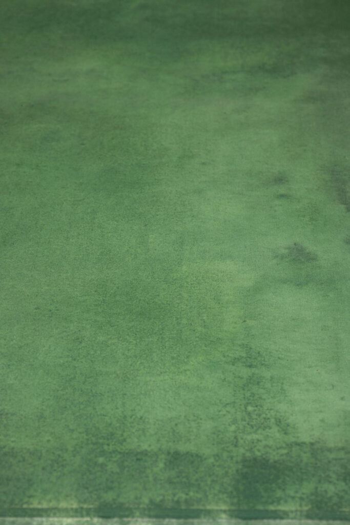 Green Bundle Digital Backdrop (BDB#10002) - Zen Backdrops