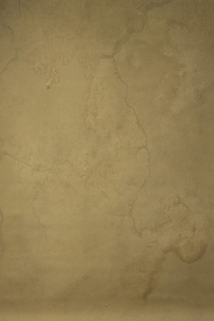 Museli Digital Backdrop (DB#10163) - Zen Backdrops