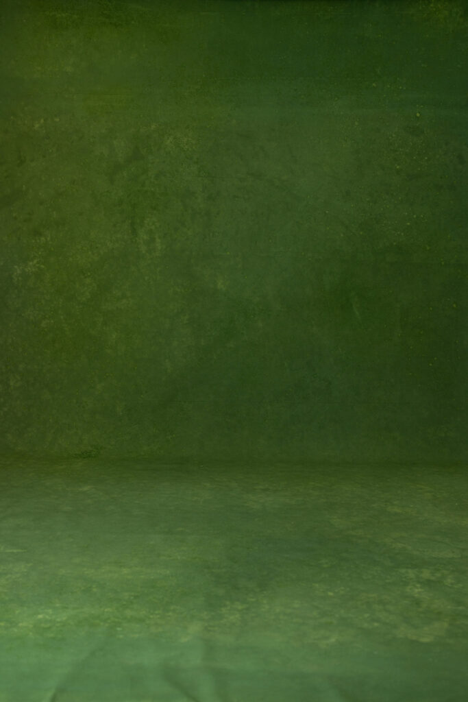 Myrtle Digital Backdrop (DB#10201) - Zen Backdrops