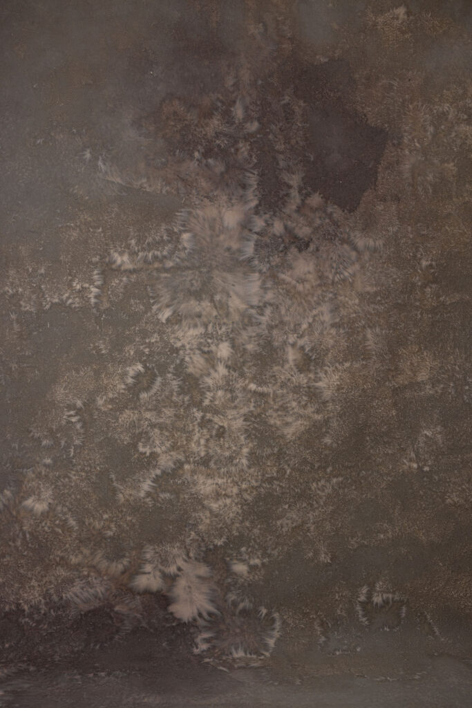 Stonewall Digital Backdrop (DB#10195) - Zen Backdrops