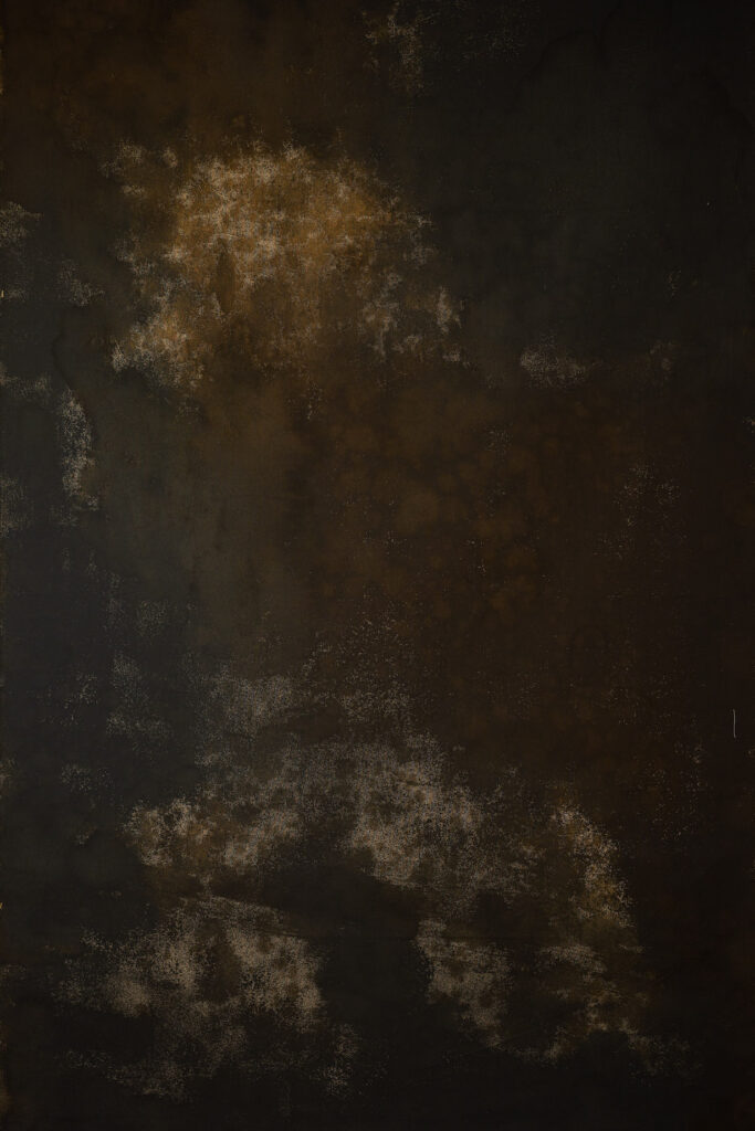 Wood Bark Digital Backdrop (DB#10135) - Zen Backdrops