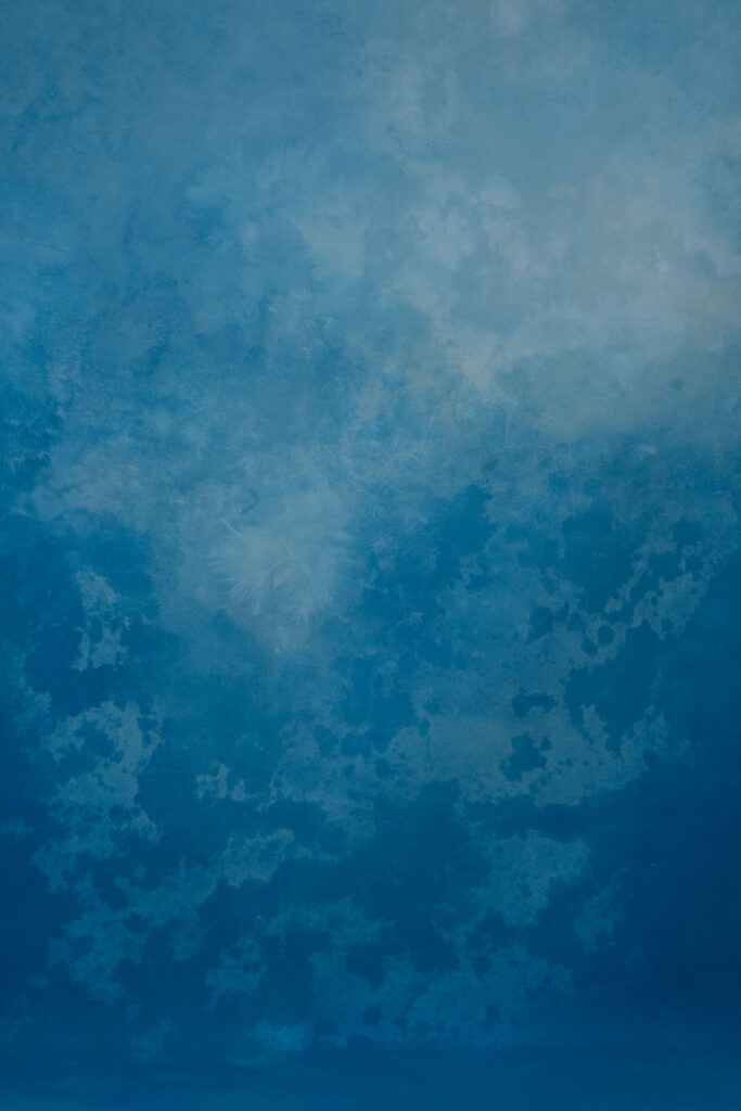 Blue Mist Painted Canvas Backdrop (RN#339) - Zen Backdrops