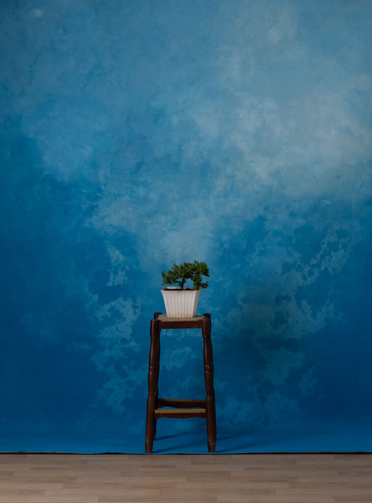 Blue Mist Painted Canvas Backdrop (RN#339) - Zen Backdrops