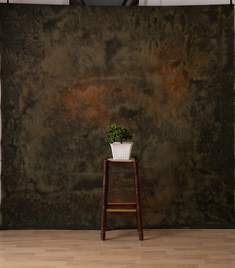 French Beige Painted Canvas Backdrop (RN#283) - Zen Backdrops