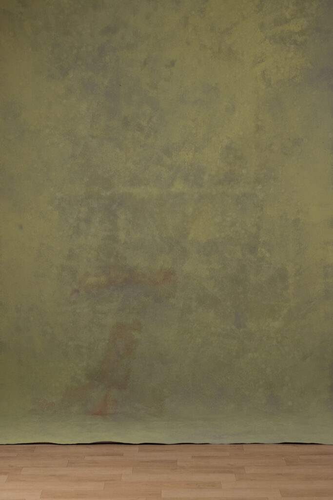 Green distressed and grey Painted Canvas Backdrop (RN#343) - Zen Backdrops