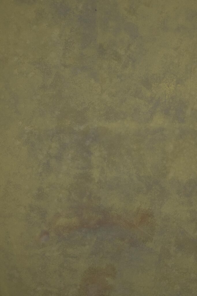 Green distressed and grey Painted Canvas Backdrop (RN#343) - Zen Backdrops