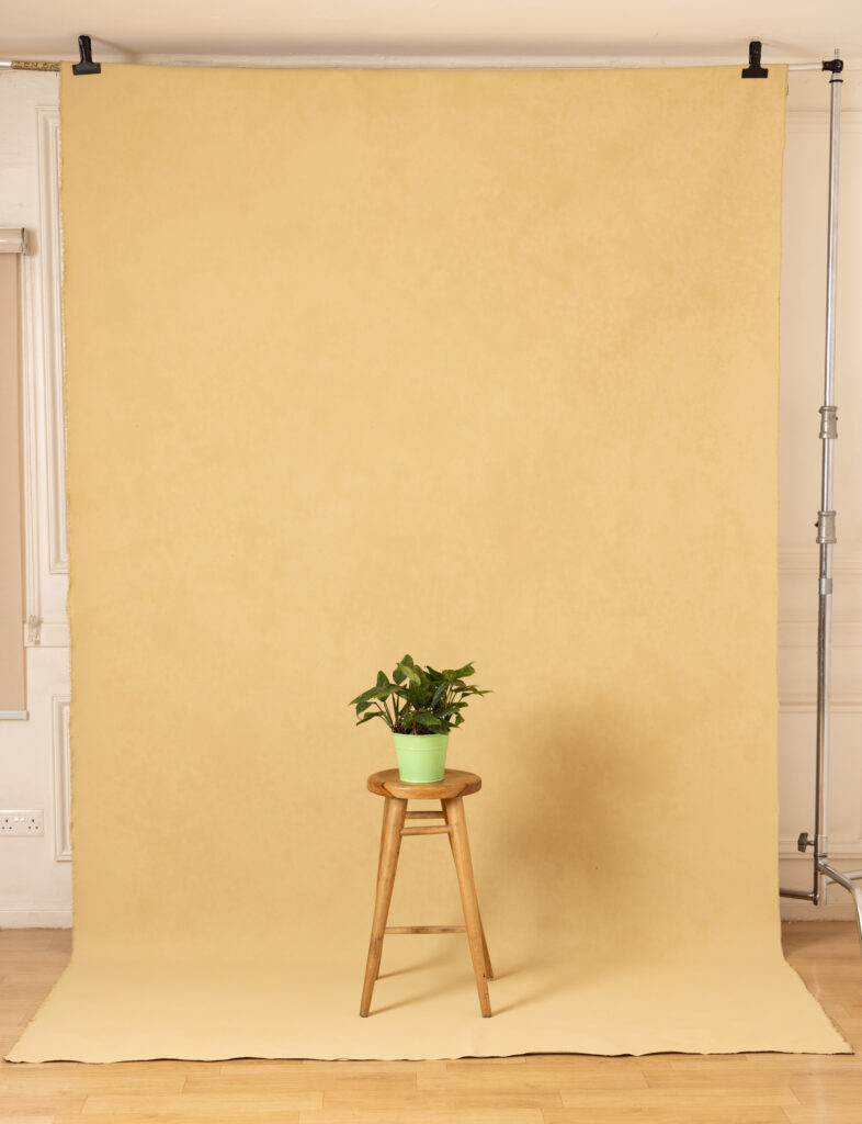 Sand Beige Painted Canvas Backdrop(RN#440) - Zen Backdrops