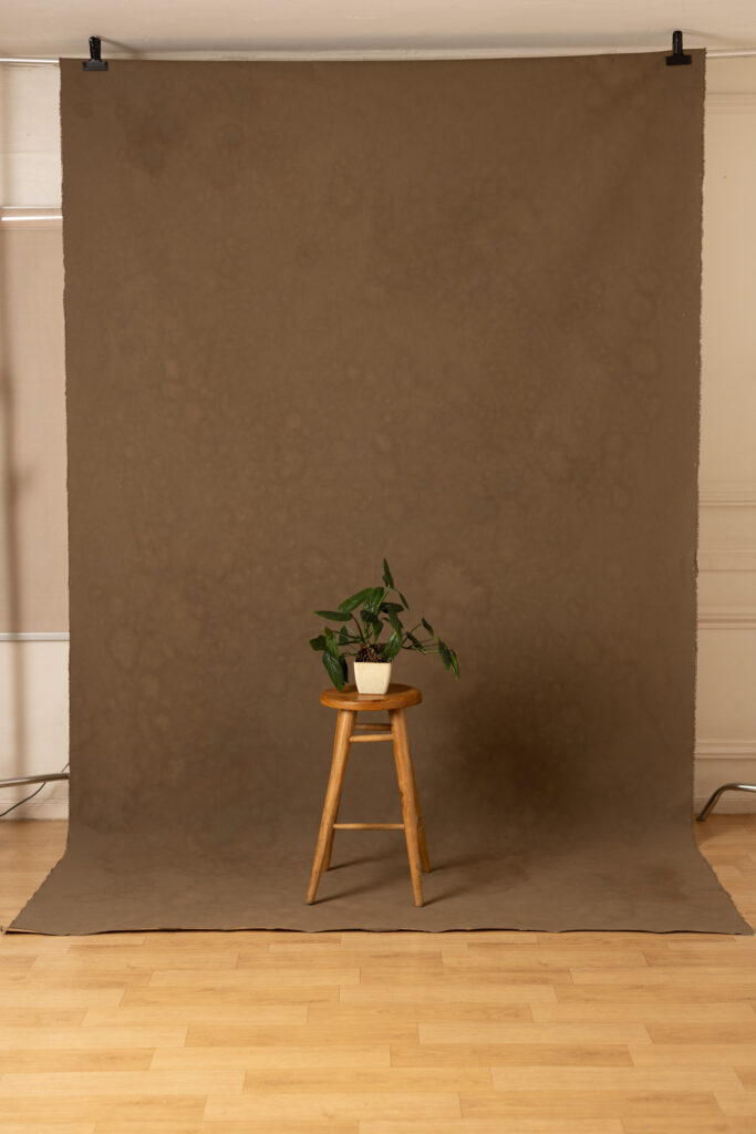 Otter Brown Painted Canvas Backdrop (RN#452) - Zen Backdrops