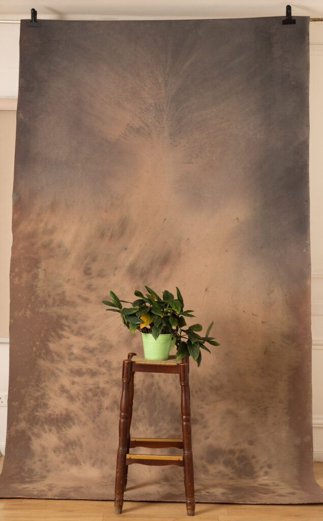 Ethereal Dust Painted Canvas Backdrop (RN#510) - Zen Backdrops