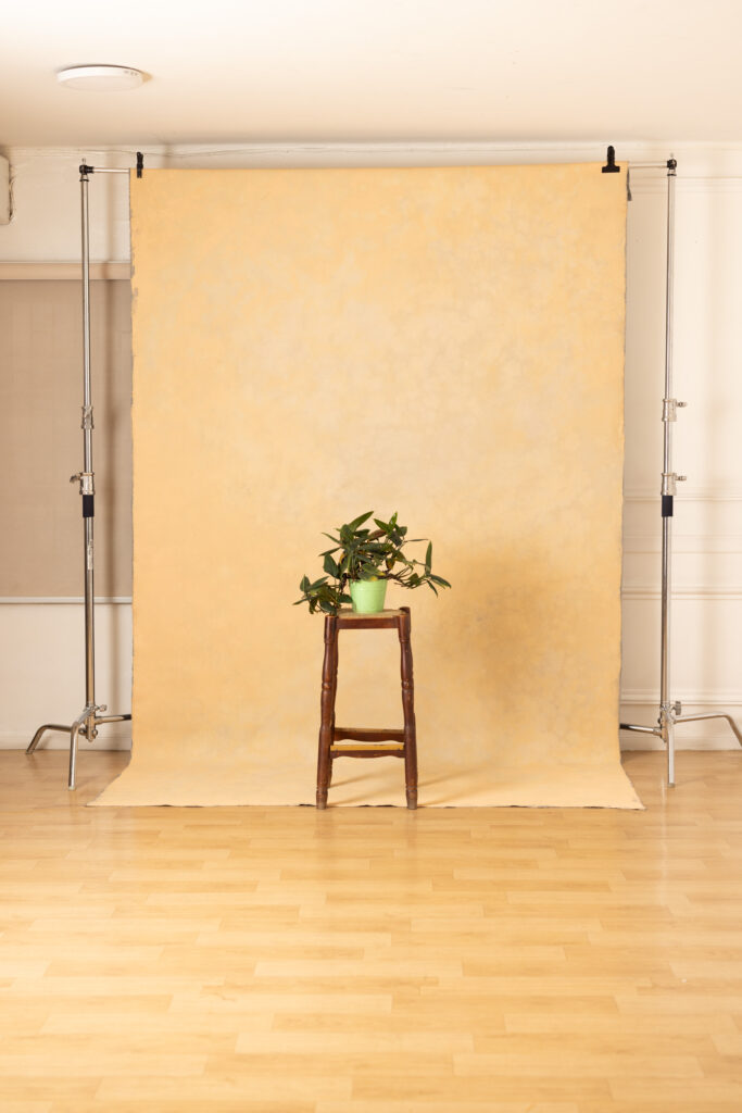 Smoked Coral Painted Canvas Backdrop (RN#511) - Zen Backdrops