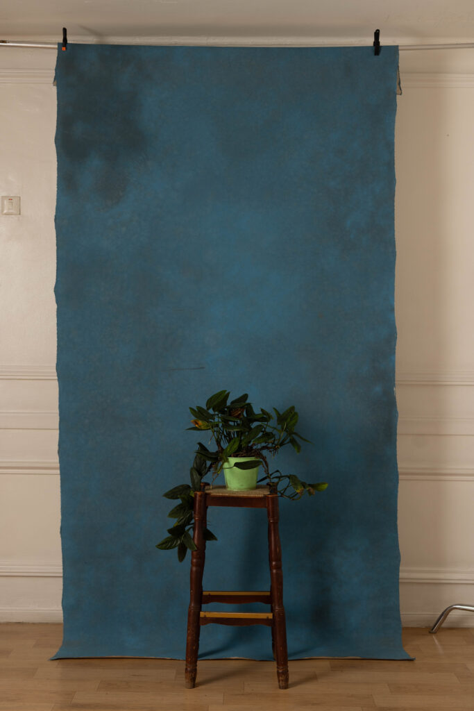Limed Spruce Canvas Backdrop (RN#246) - Zen Backdrops